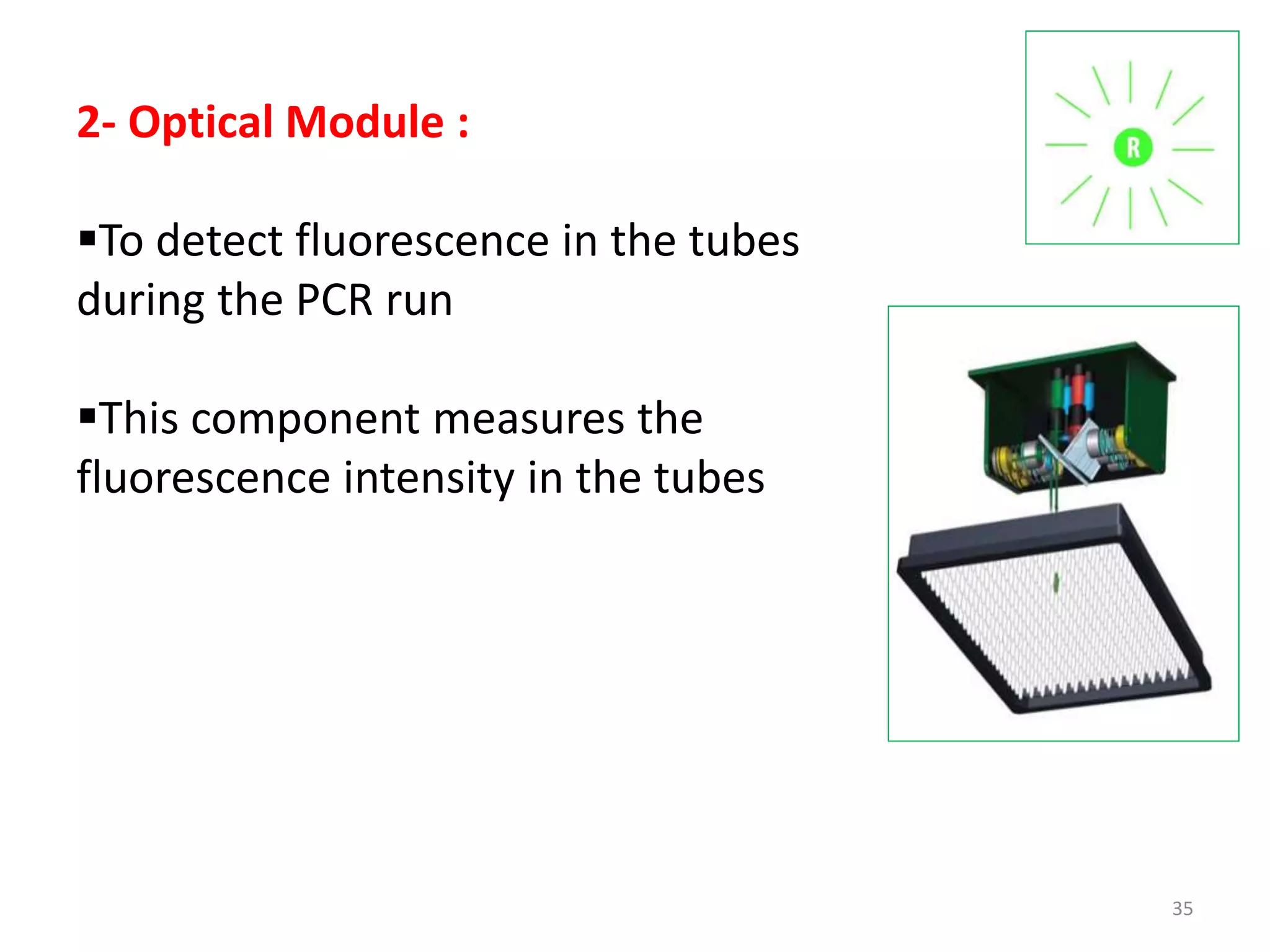 Nucleic acid detection Techniques | PPTX
