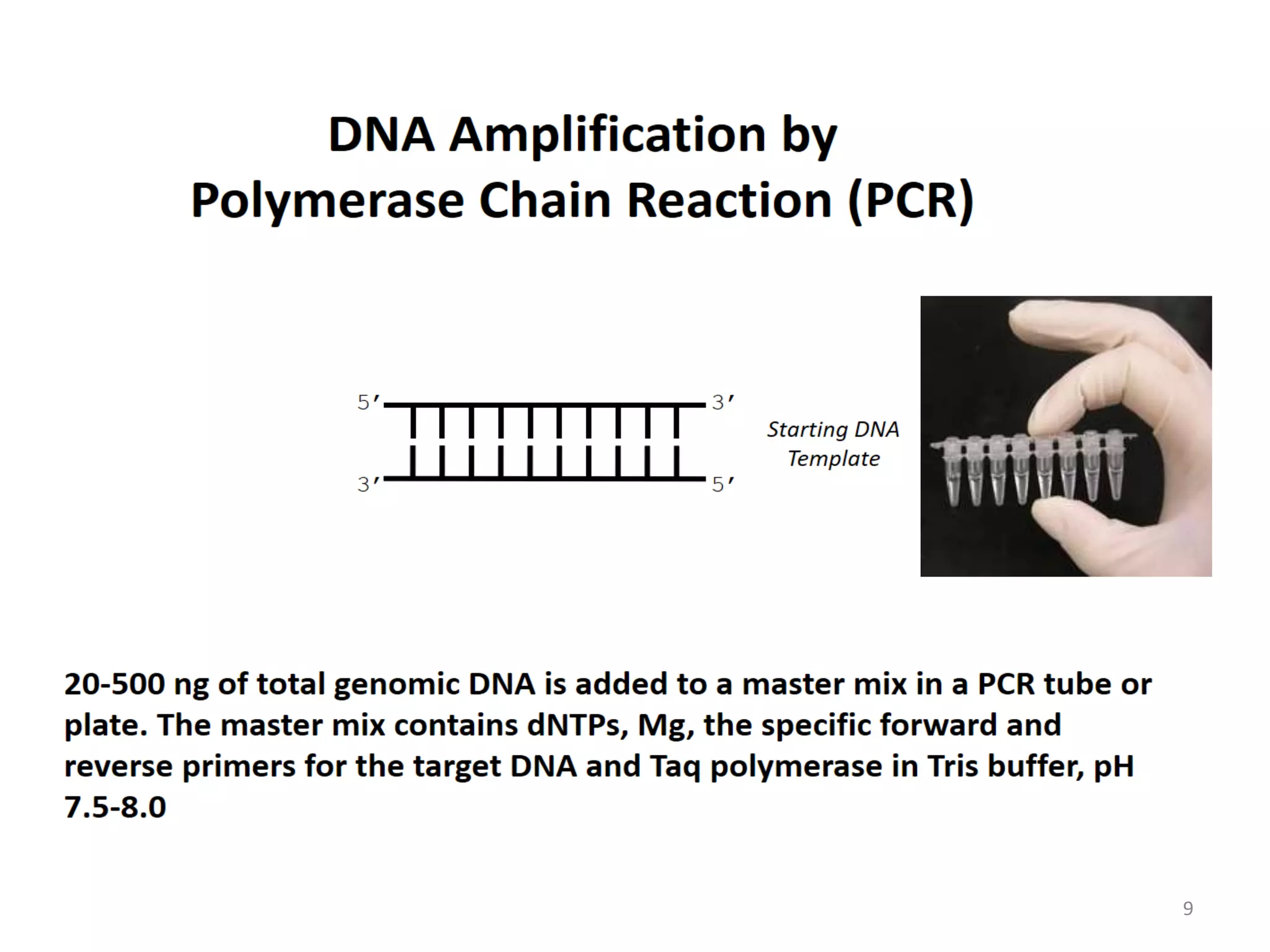 Nucleic acid detection Techniques | PPTX