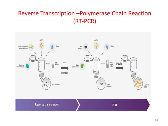 Nucleic acid detection Techniques | PPTX