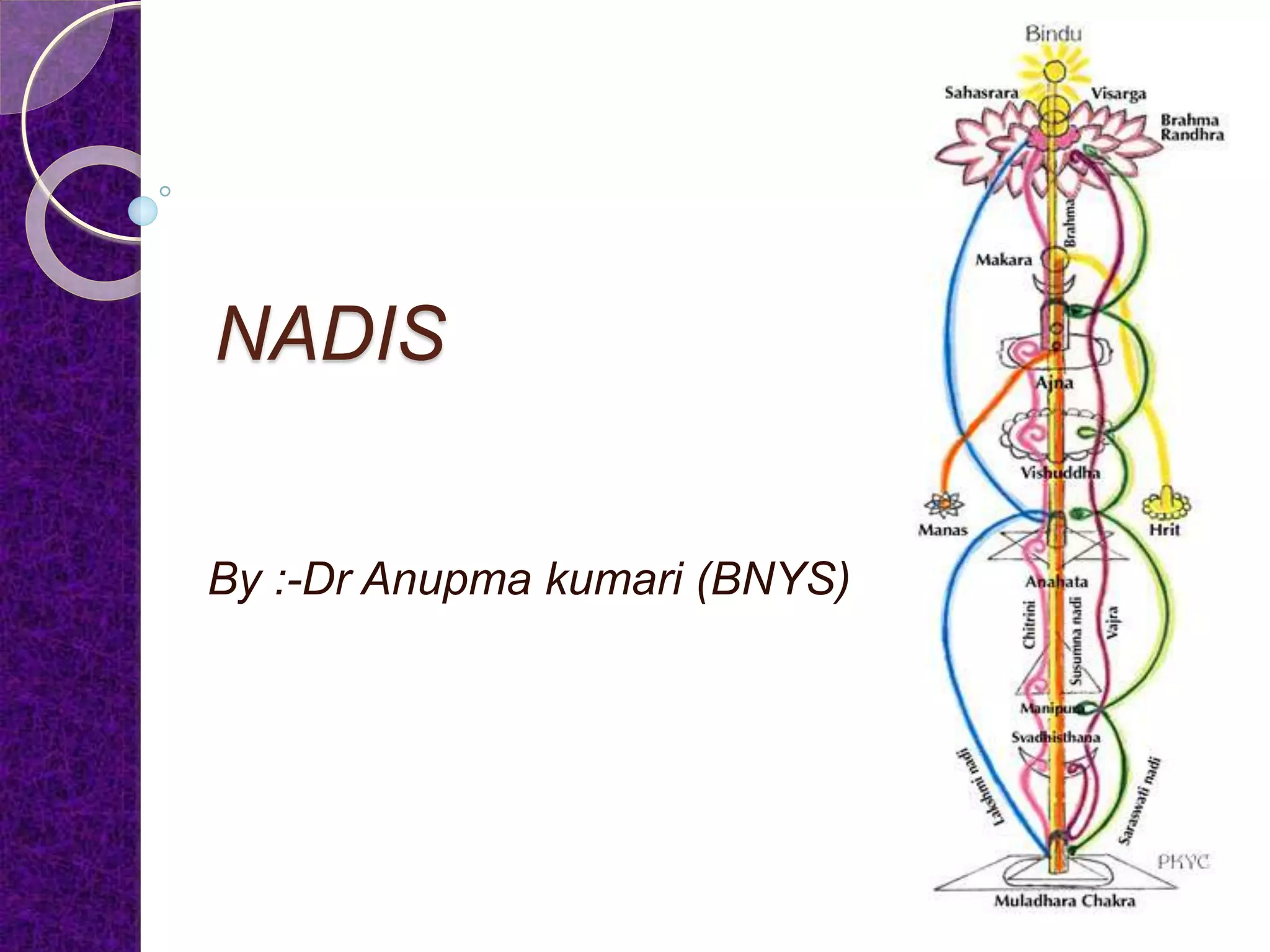 Nadis | PPTX