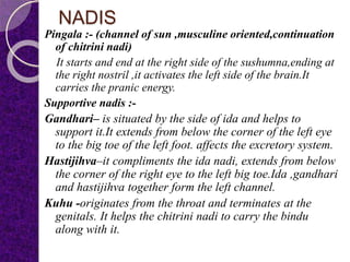 Nadis | PPTX