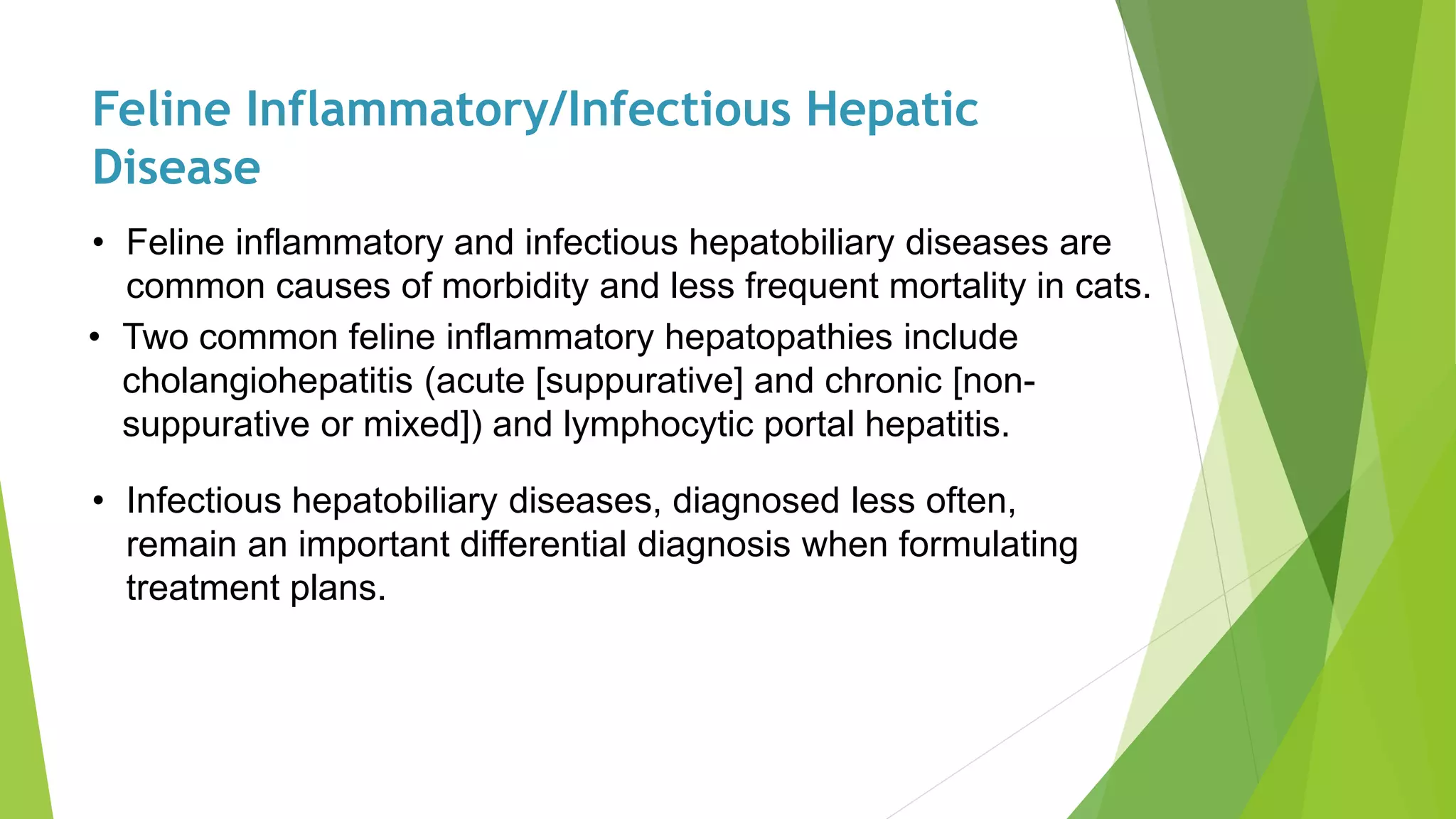 hepatobiliary diseases in felines | PPTX