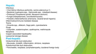 hepatobiliary diseases in felines | PPTX