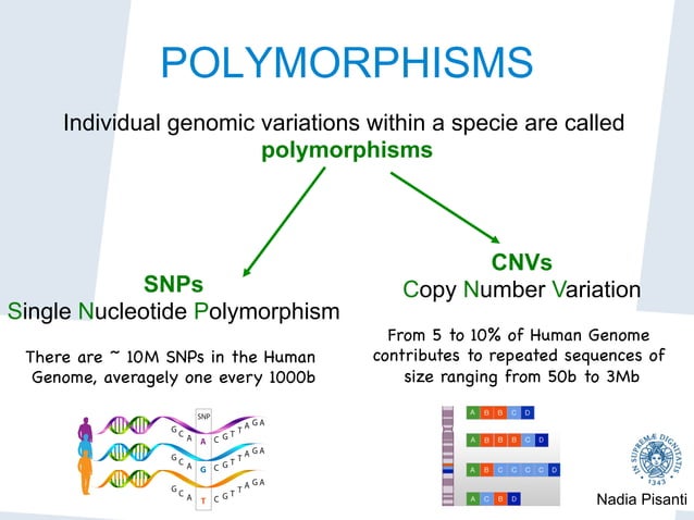 Genomic Data Analysis | PPT