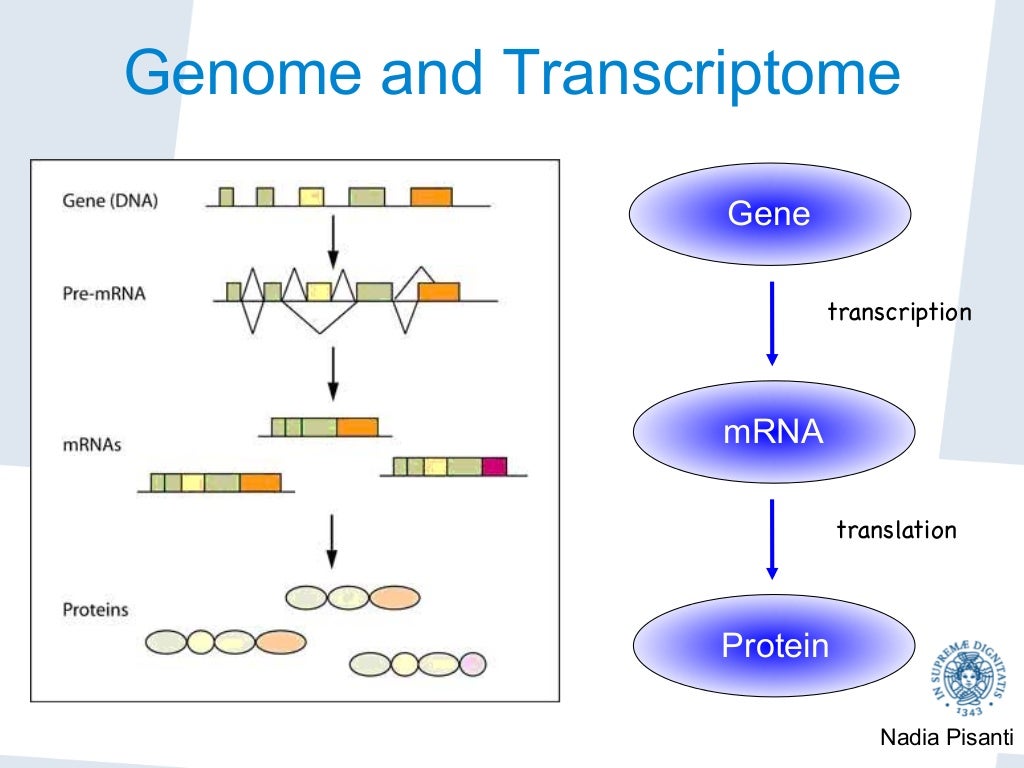 Genomic Data Analysis