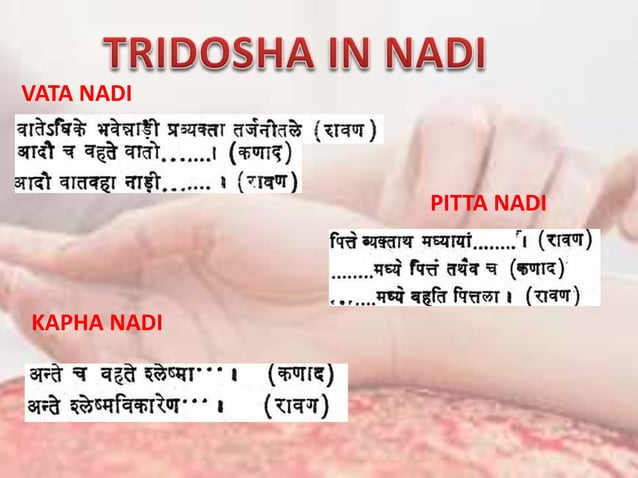 Nadi pareeksha- Ayurvedic pulse diagnosis | PPTX | Heart and ...