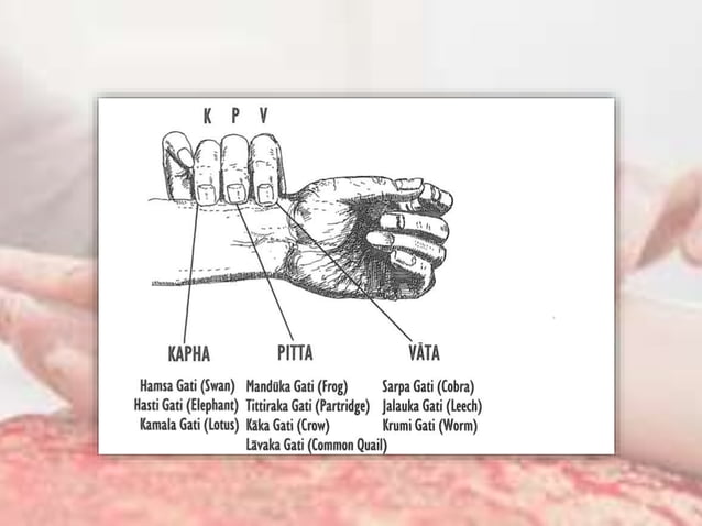 Nadi pareeksha- Ayurvedic pulse diagnosis | PPTX | Heart and ...