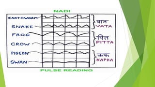 Nadi Pariksha - Ayurvedic Pulse Examination | PPT