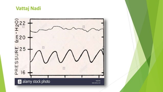 Nadi Pariksha - Ayurvedic Pulse Examination | PPT | Heart and ...