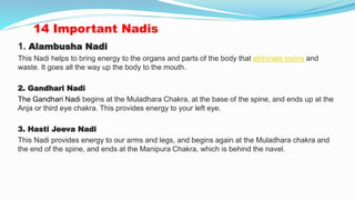 nadis sonali (1).pptx