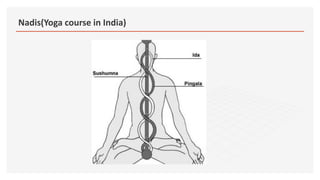 Nadis - energy channel | PDF