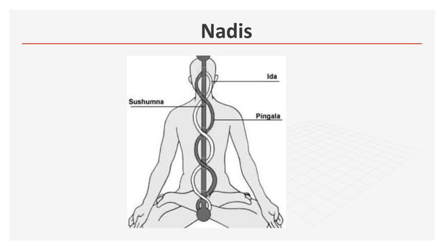 Nadis | PPTX | Hinduism | Religion & Spirituality