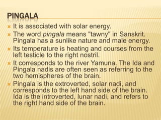 Nadi trividha | PDF | Hinduism | Religion & Spirituality