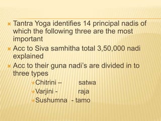 Nadi trividha | PDF | Hinduism | Religion & Spirituality