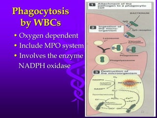 NADPH and its uses | PPTX
