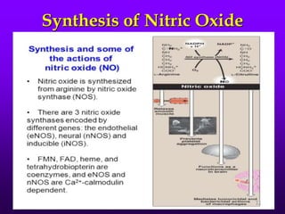 NADPH and its uses | PPTX