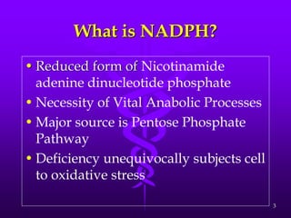 Nadph2