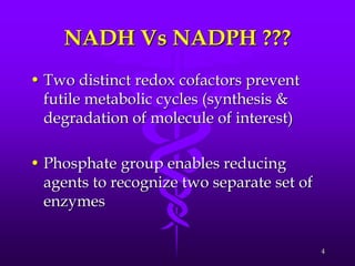 NADPH and its uses | PPT