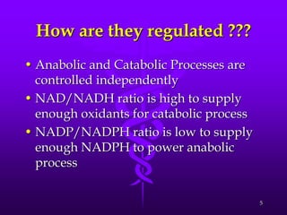 Nadph Mechanism
