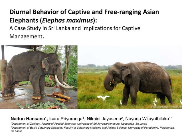 Diurnal Behavior of Captive and Free-ranging Asian Elephants (Elephas ...