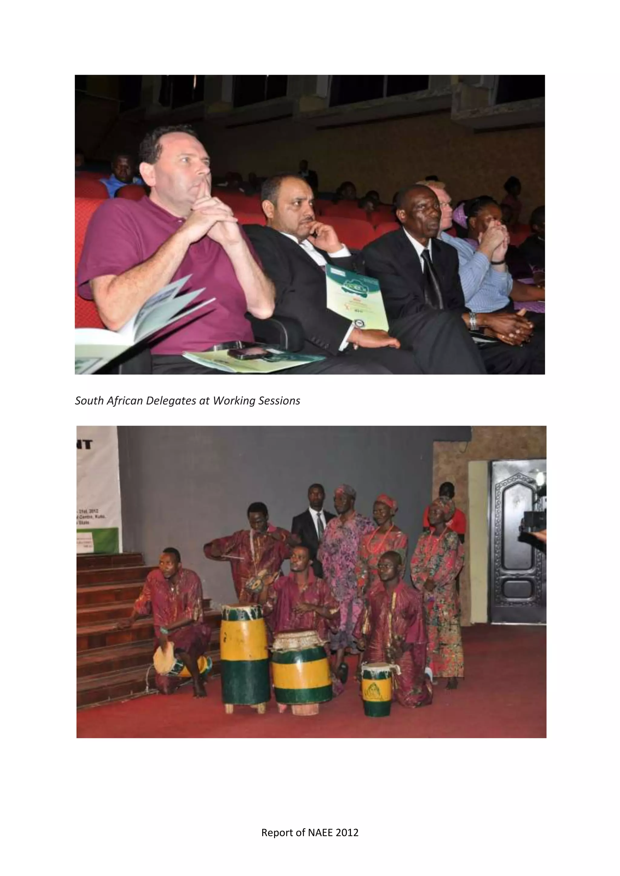 Naee 2012 final report | PDF