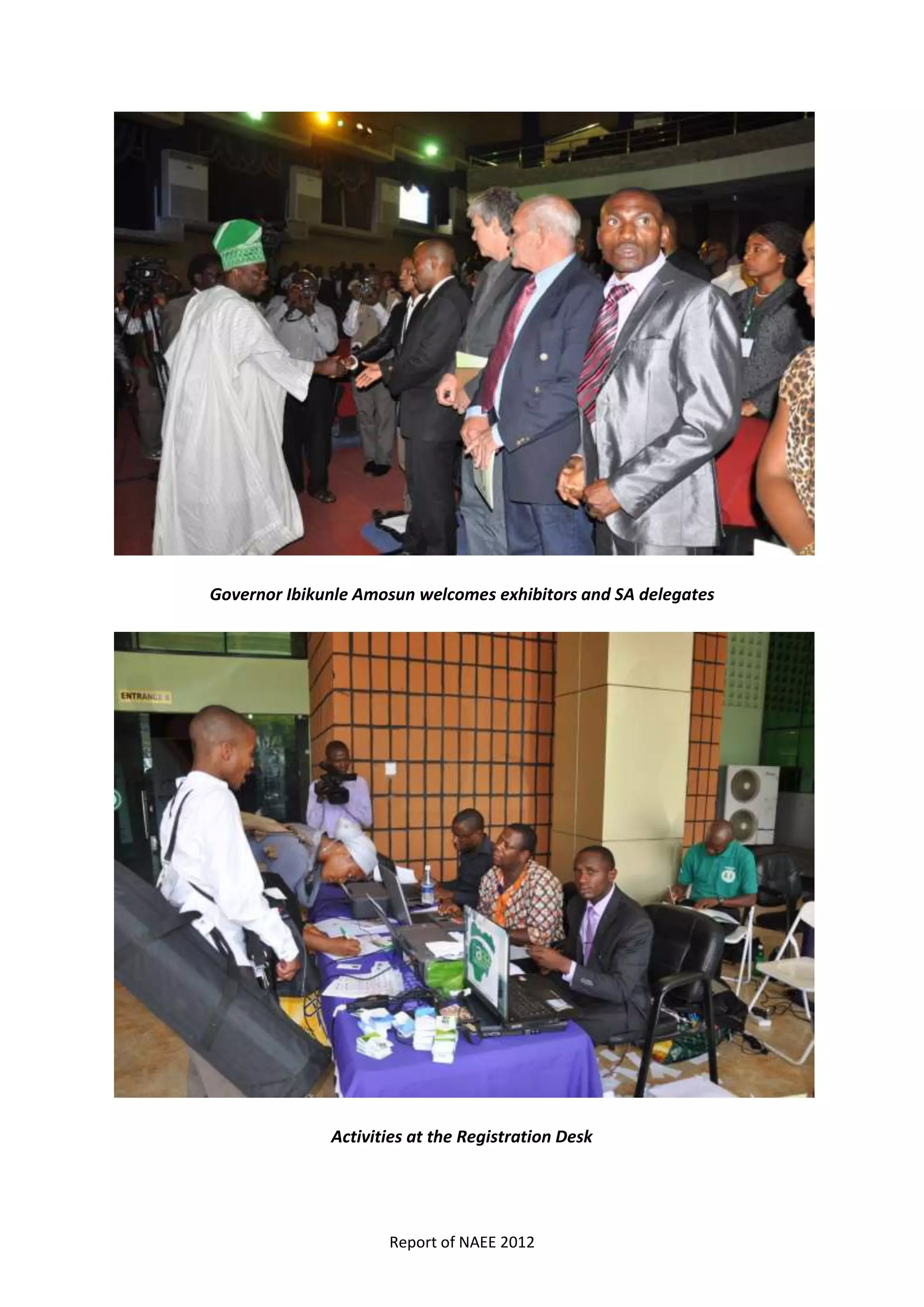 Naee 2012 final report | PDF