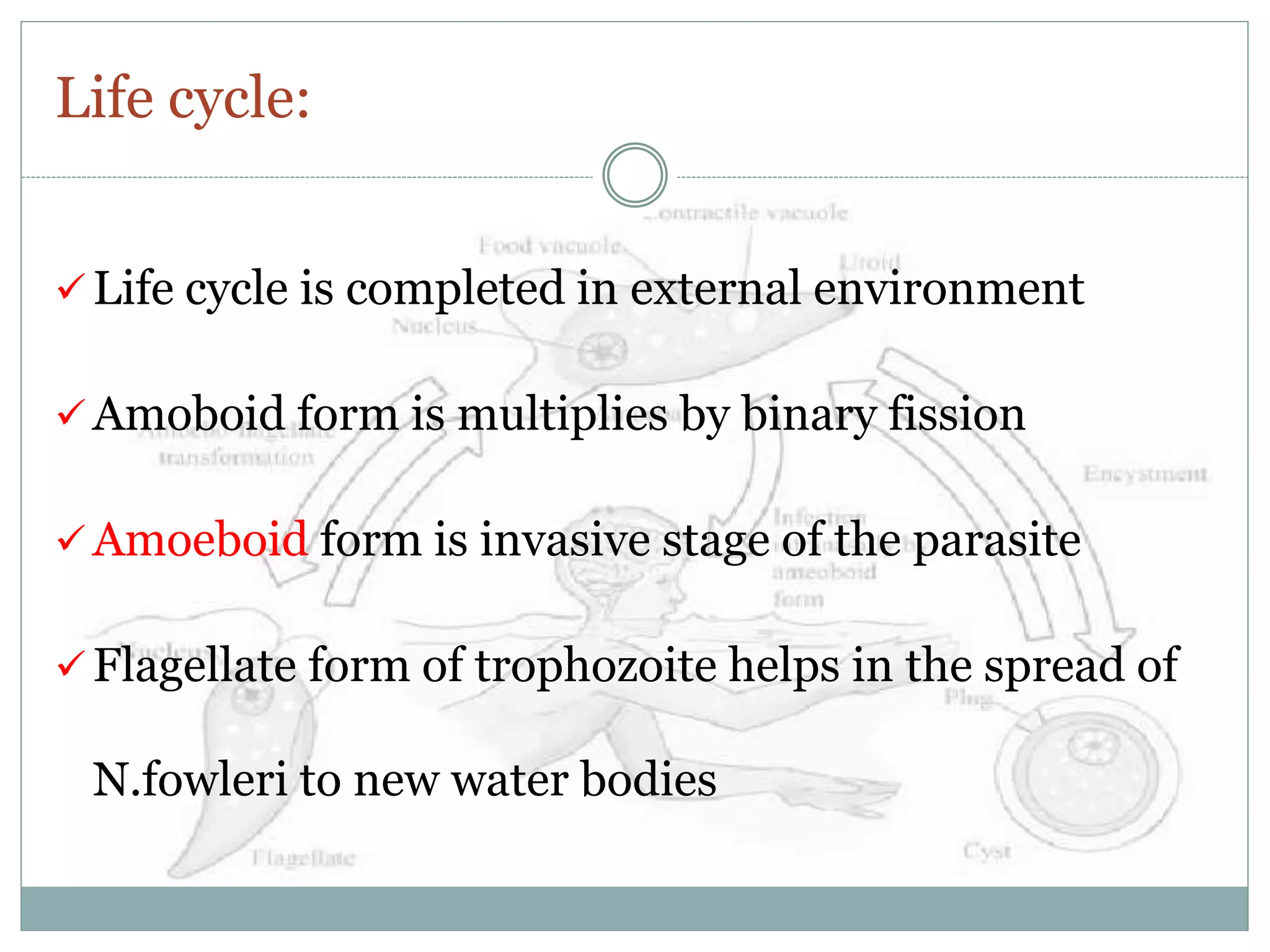 Naegleria fowleri | PPTX