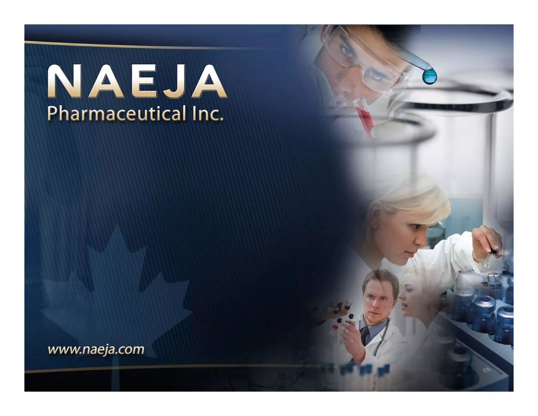 NAEJA Presentation | PDF
