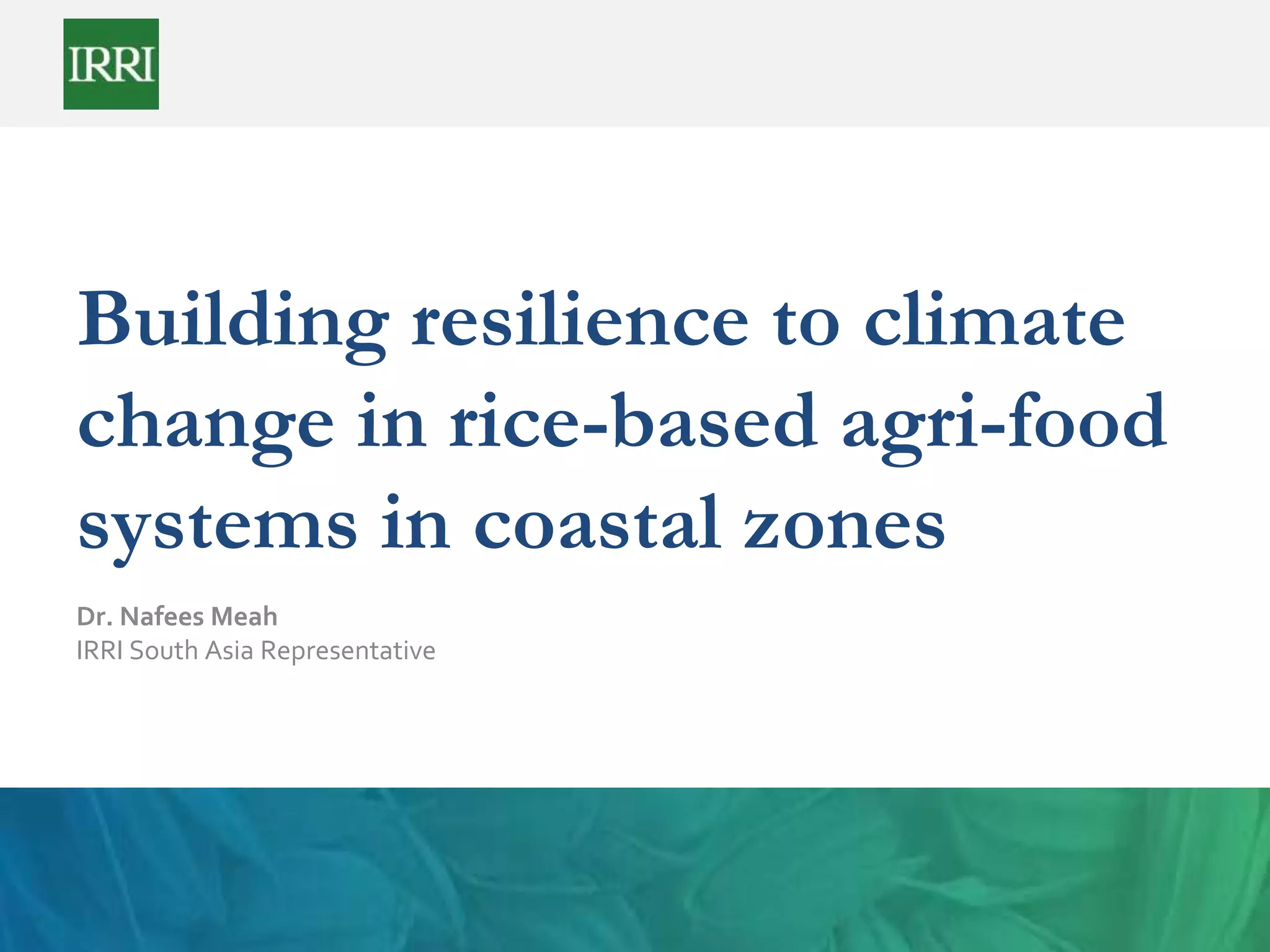 Building resilience to climate change in rice-based agri-food systems ...