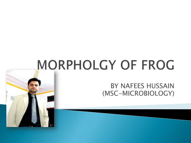 FROG PPT : BY Nafees hussain | PPTX
