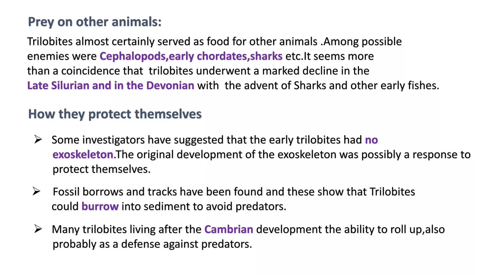 Habit & Habitat of Trilobites The Index fossil of Cambrian geological ...