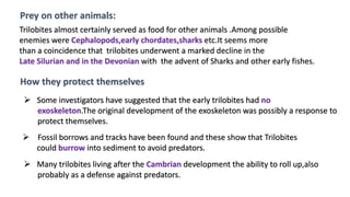 Habit & Habitat of Trilobites The Index fossil of Cambrian geological ...