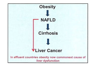 Nafld | PPT