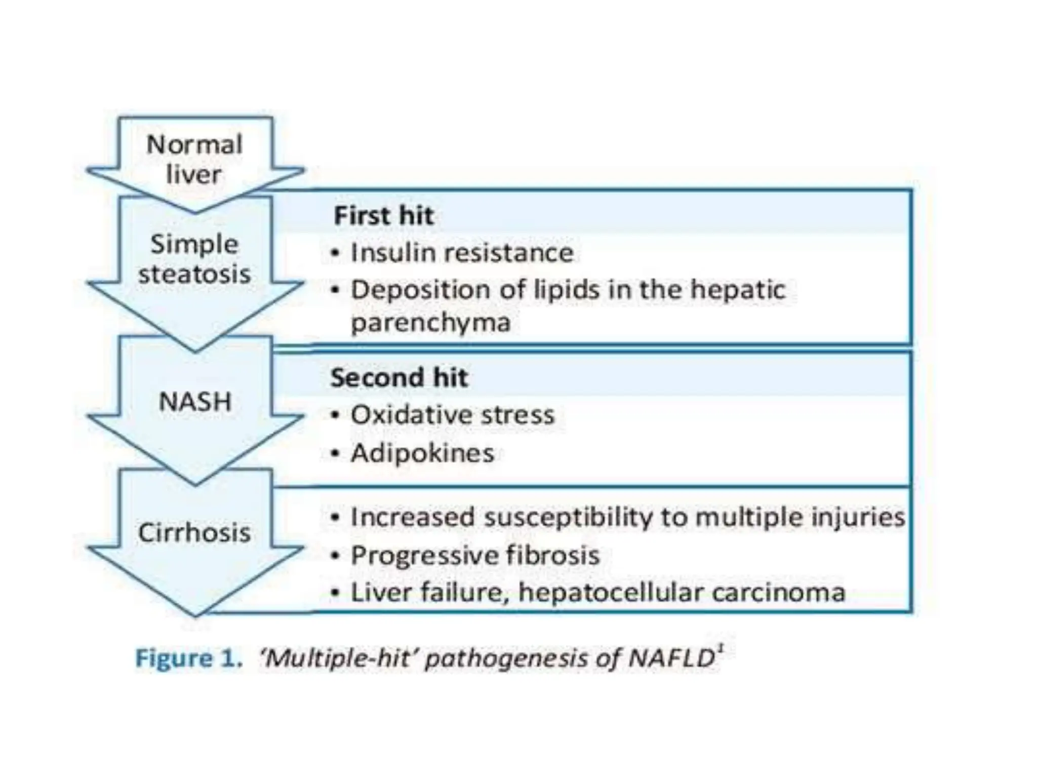 NAFLD non alcoholic fatty liver disease.pptx