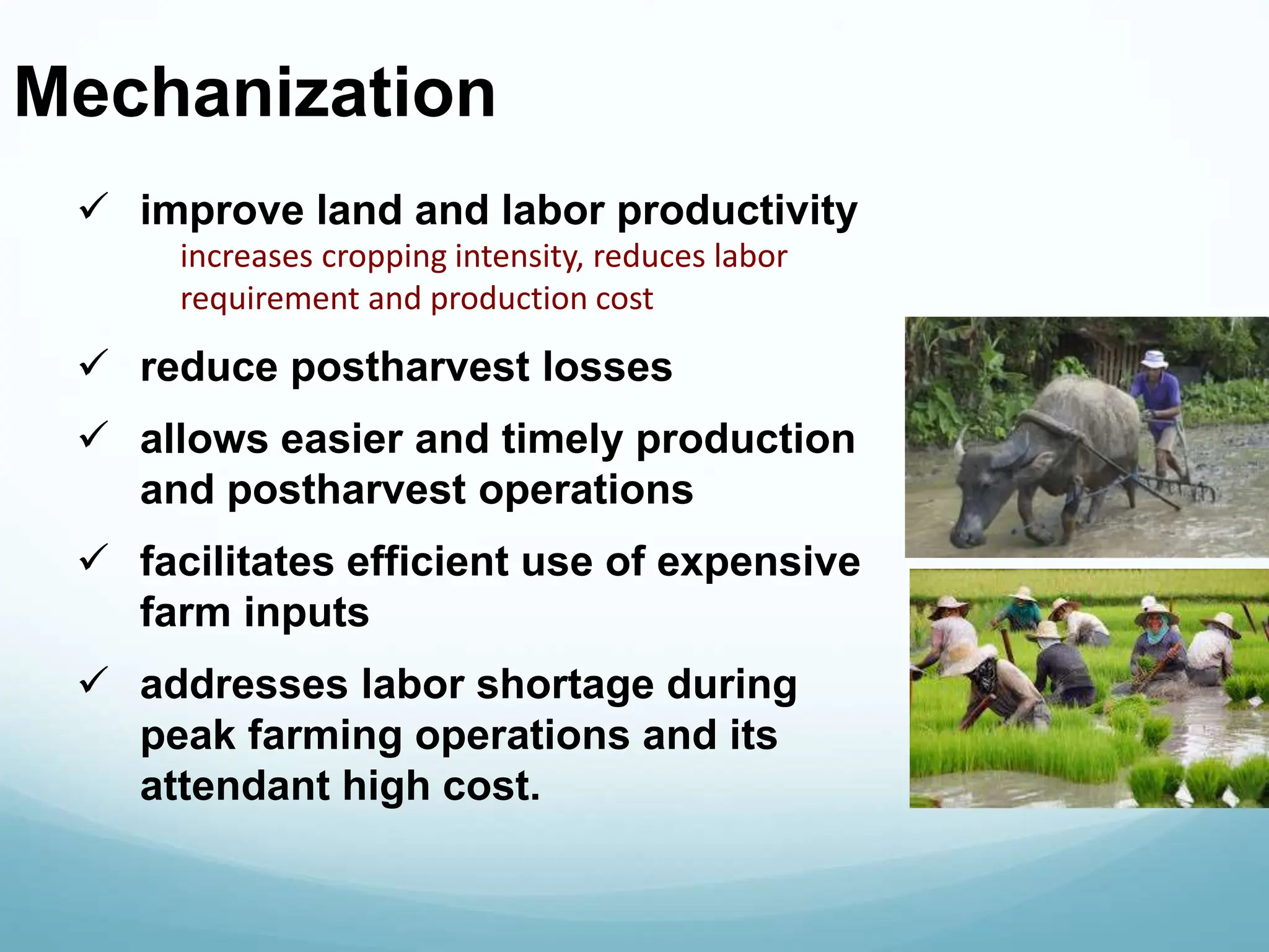 National Agricultural and Fisheries Mechanization | PPTX