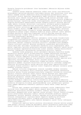 Nafta oh-invederat | PDF