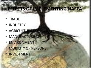 NAFTA | PPT | Business | Business and Finance
