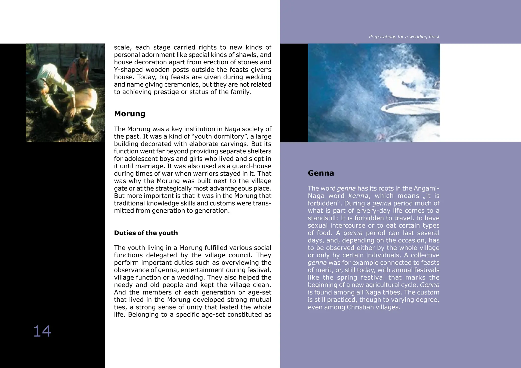 Naga tribes description is provided in this pdf. | PDF