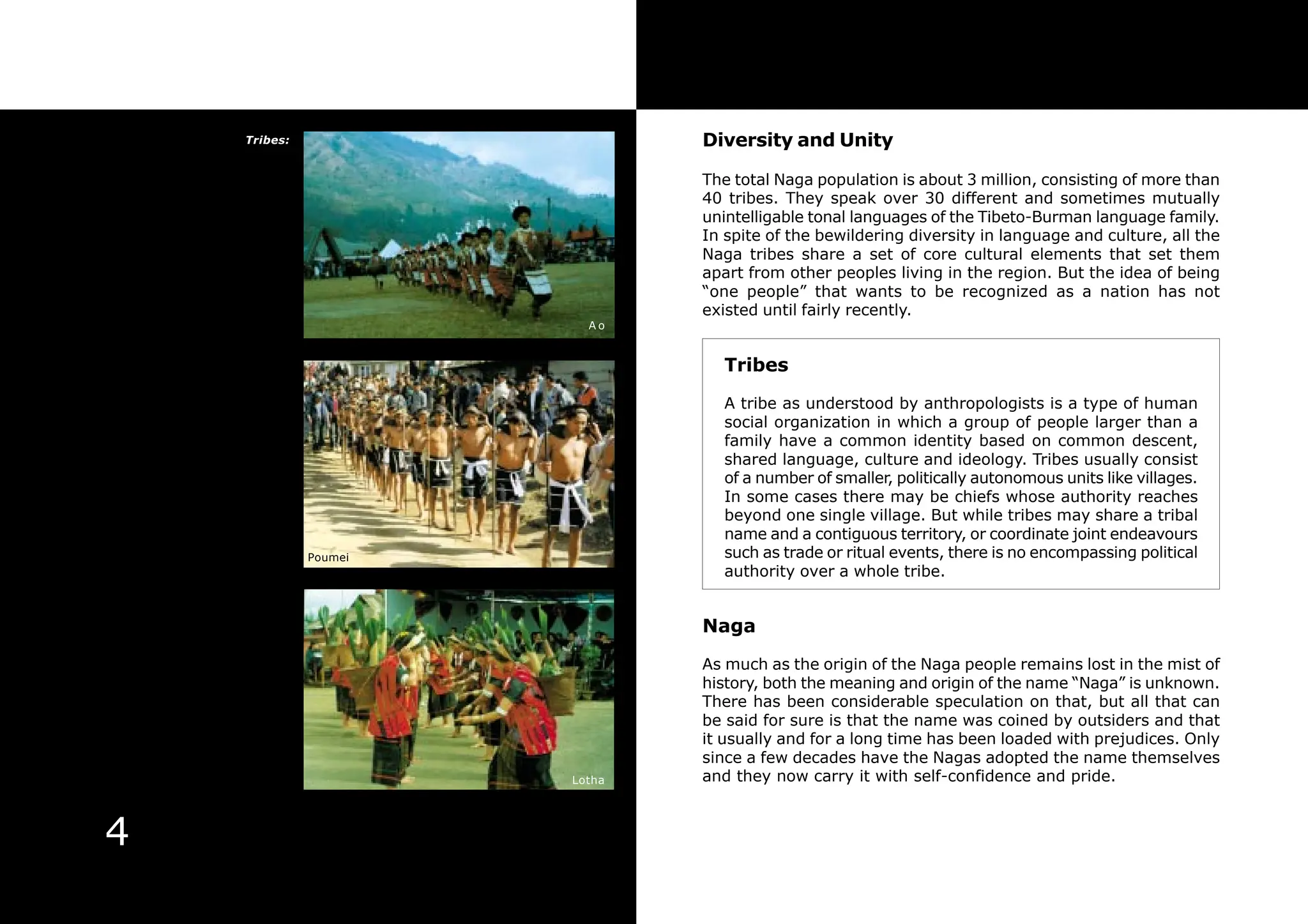 Naga tribes description is provided in this pdf. | PDF