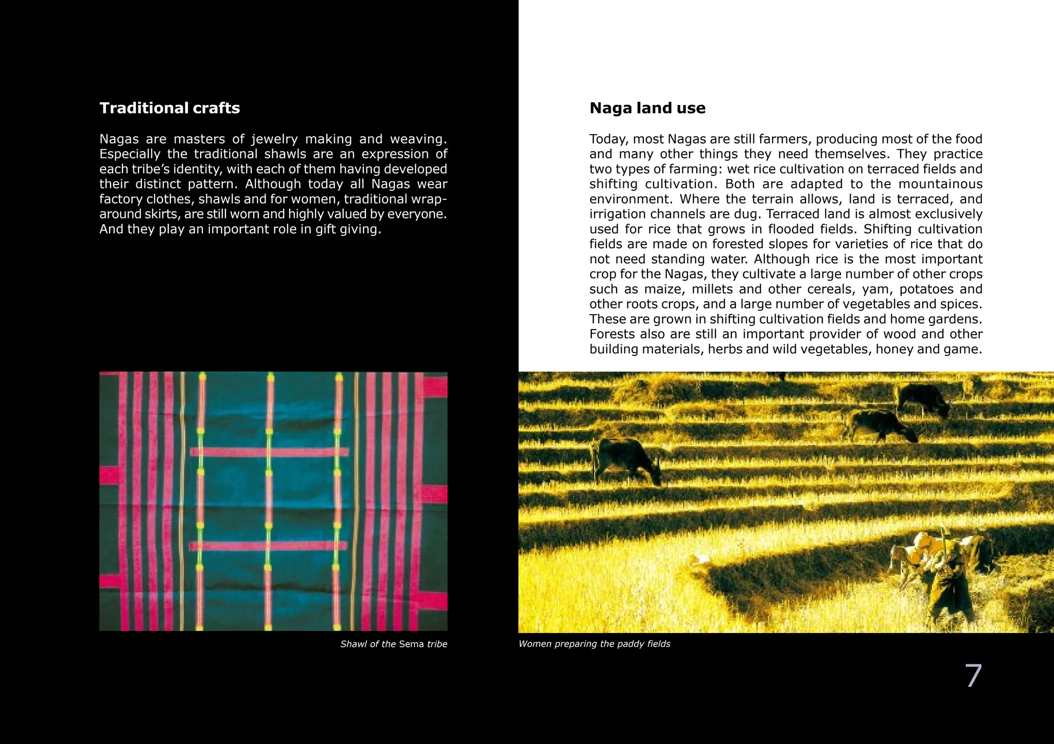 Naga tribes description is provided in this pdf. | PDF