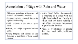 An Introduction to Naga Cult in ancient India | PPTX