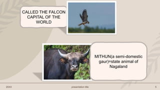nagaland.pptx