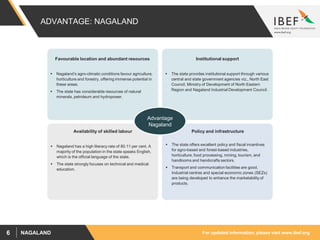 Nagaland State Report - March 2019 | PDF