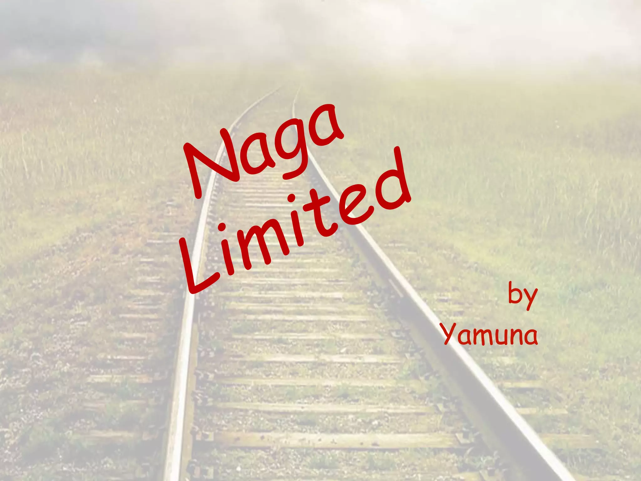 Naga ltd (Naga Mills) | PPTX