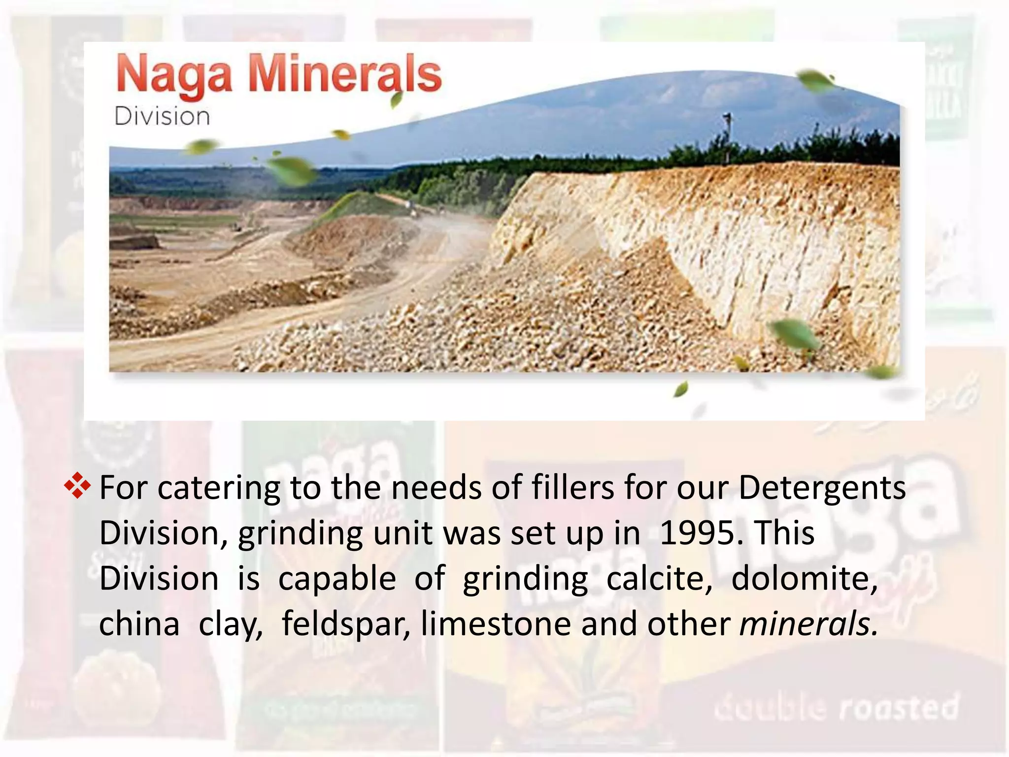 Naga ltd (Naga Mills) | PPTX