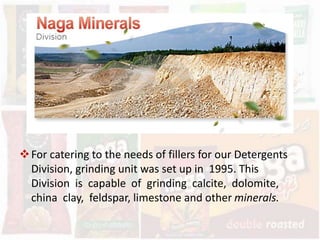 Naga ltd (Naga Mills) | PPTX