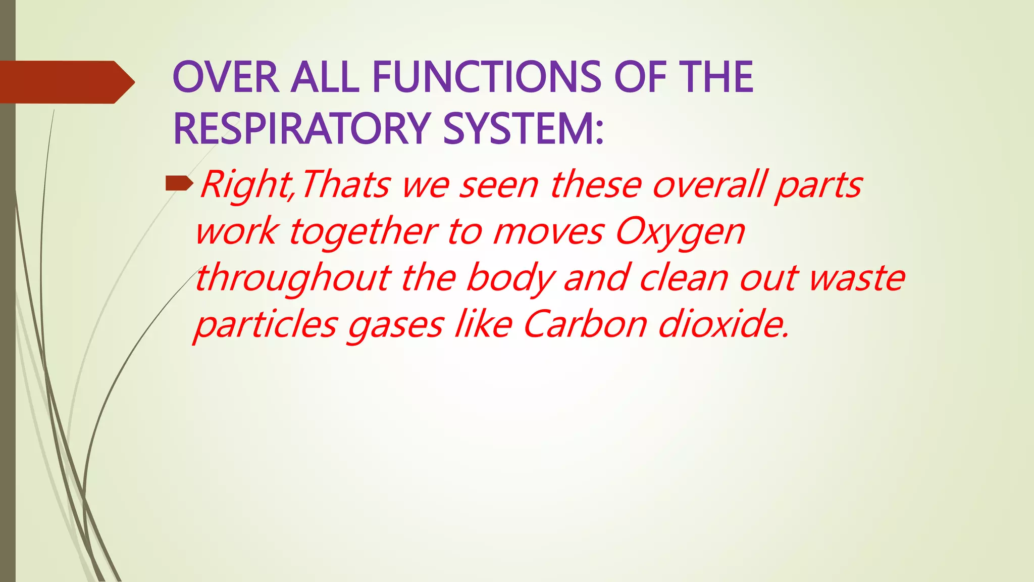 Respiratory system(M.NAGAPRADHEESH).pptx