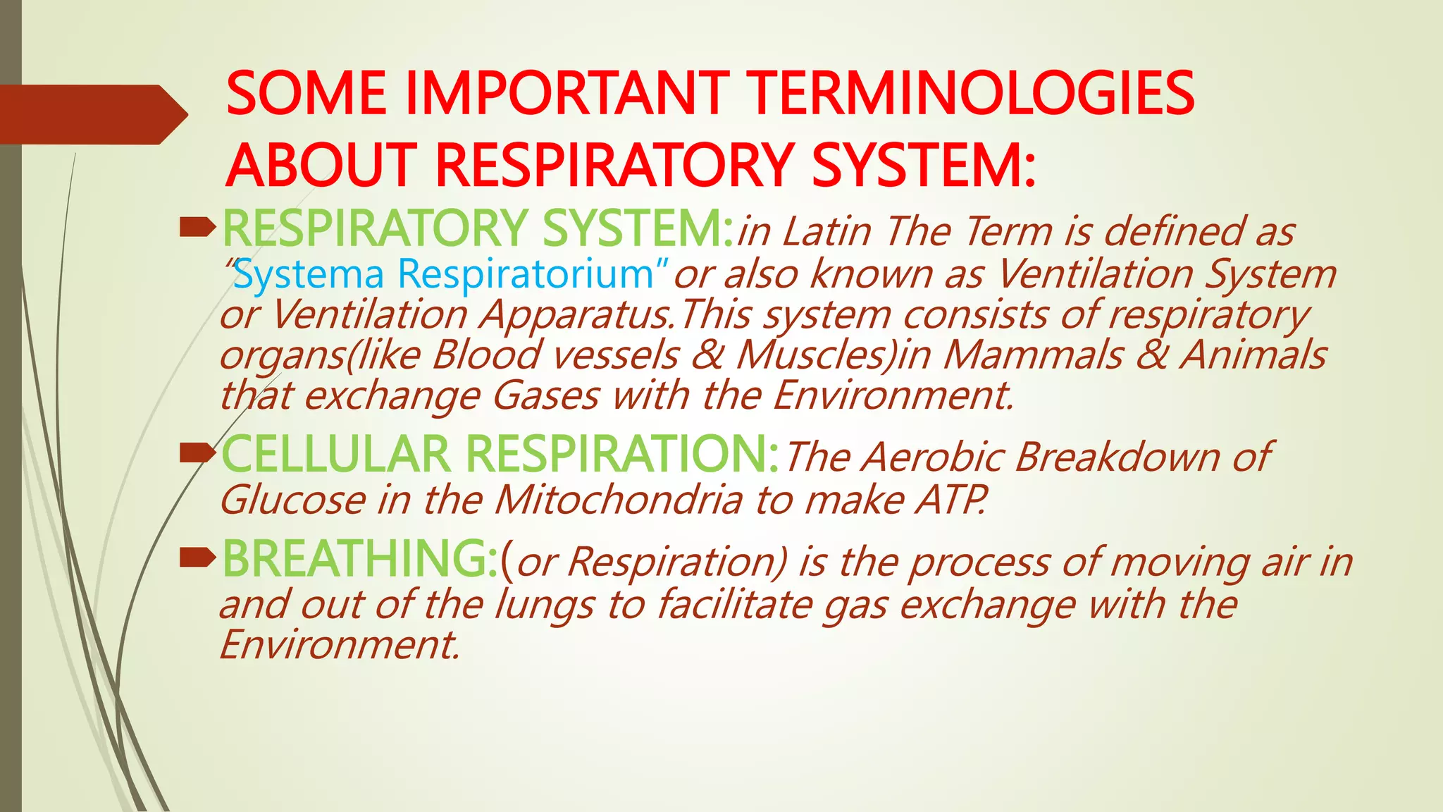 Respiratory system(M.NAGAPRADHEESH).pptx