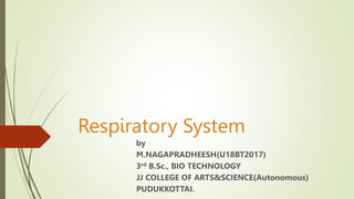 Respiratory system(M.NAGAPRADHEESH).pptx