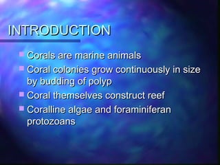 ppt coral reefs final | PPT